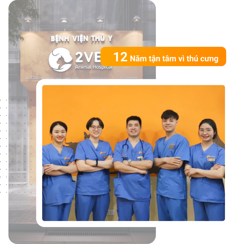 2VET